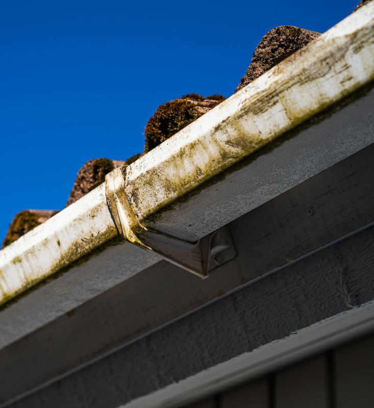 Additional Cleaning Services For Carlisle